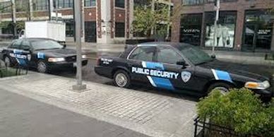 Private Security Services - Public Security LLC