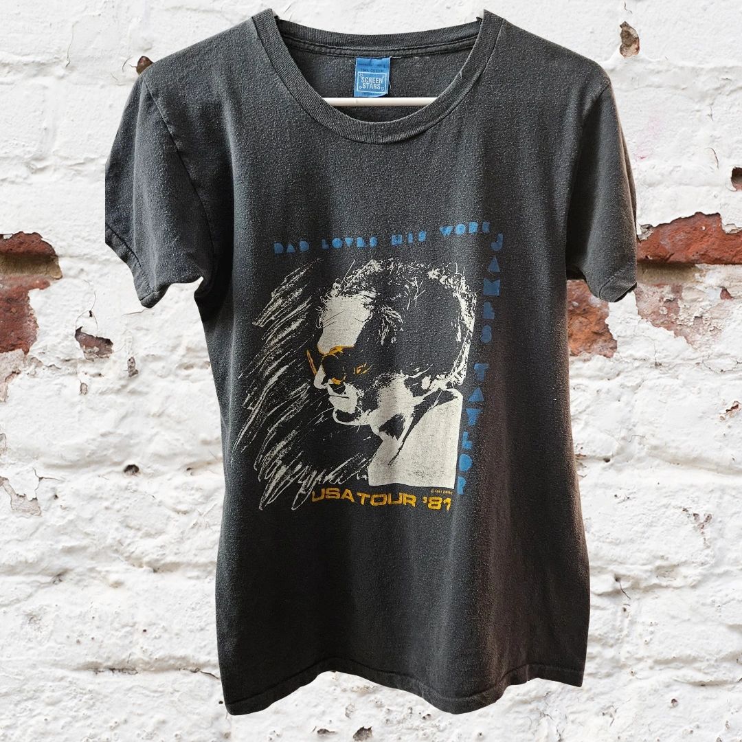 James Taylor Dad Loves His Work USA Tour '81