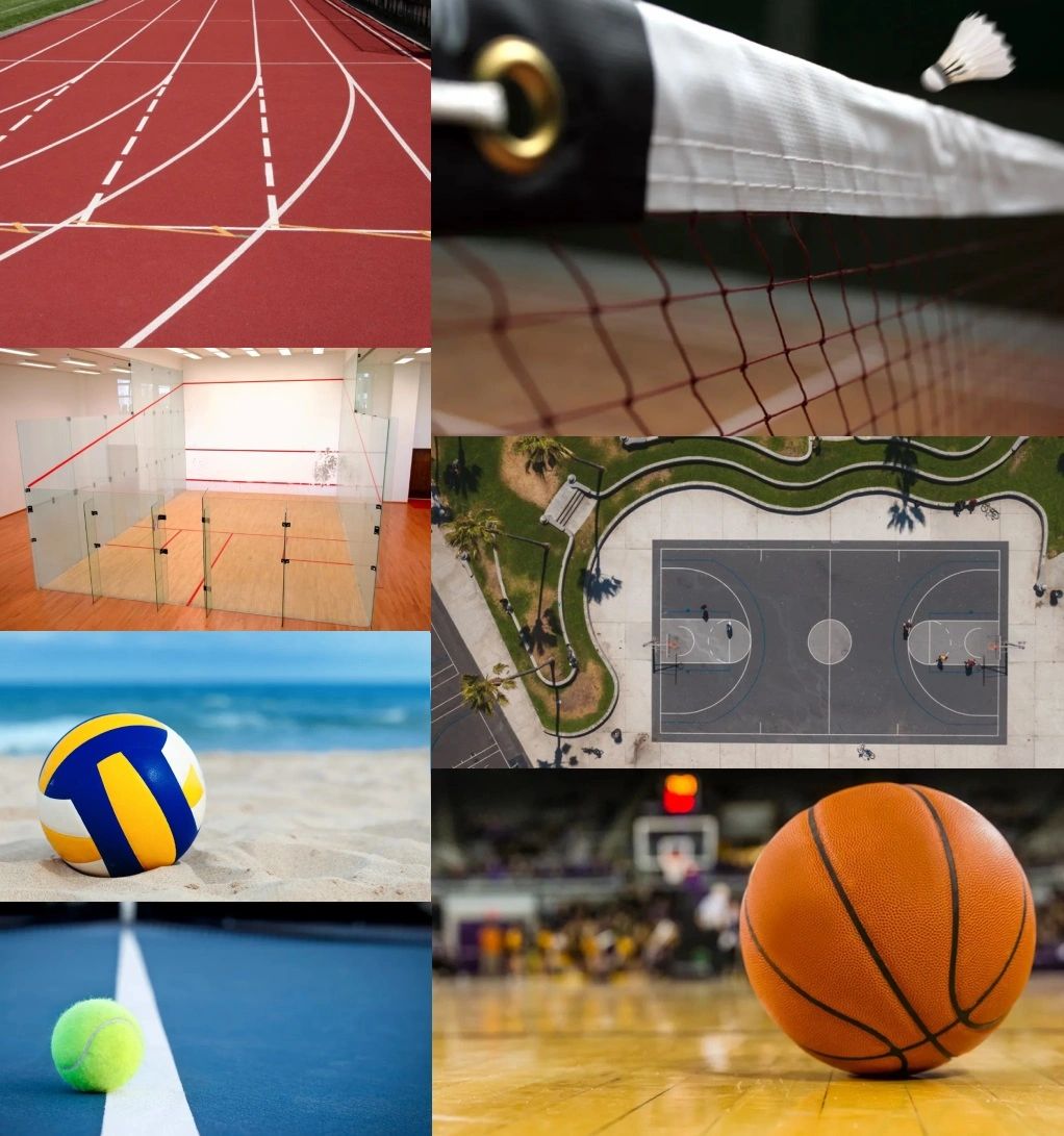 Infrastructures sportives -Sports-Infra - service conseil