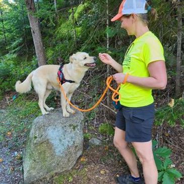 Wag Wise Dog Coaching and Education