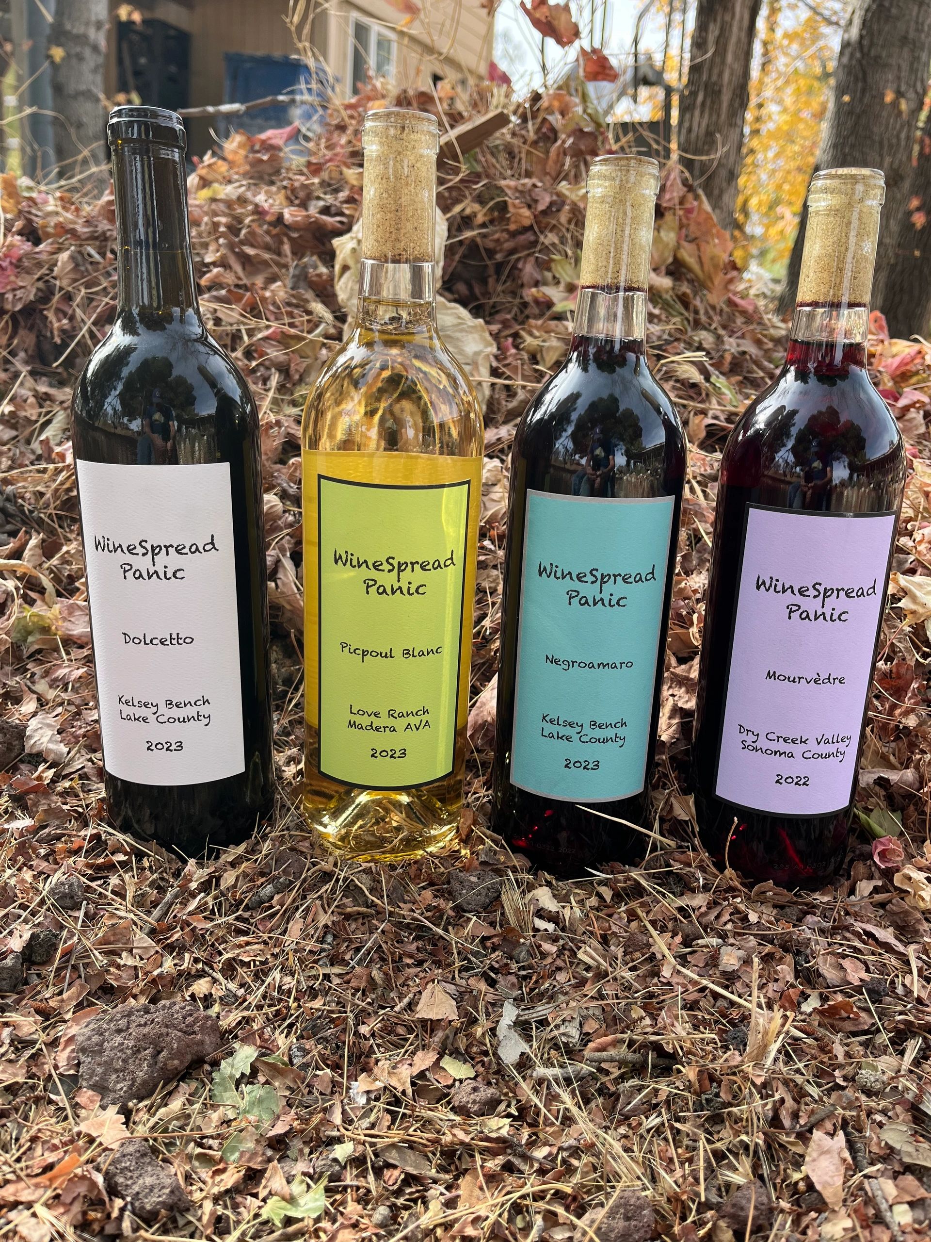 Where to find WSP Wine | WineSpread Panic Cellars