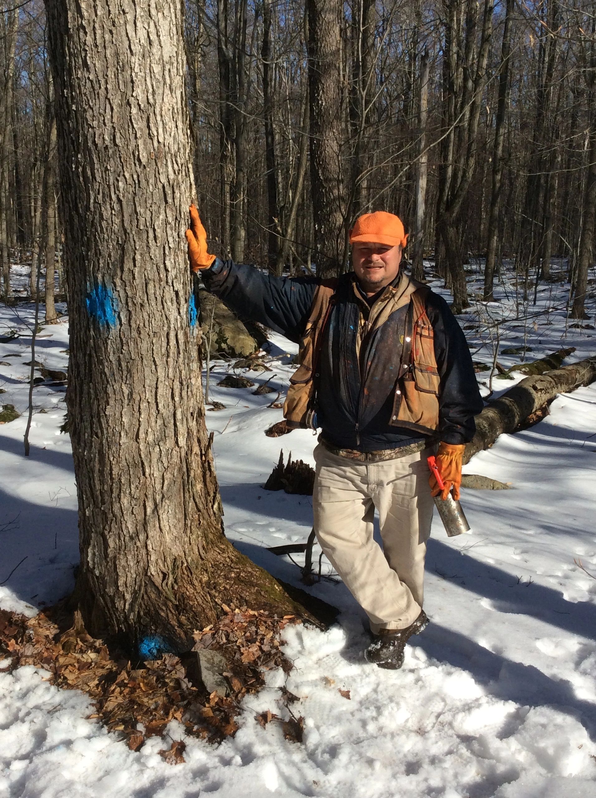 About Scott Cary, Consulting Forester - Scott Cary, Consulting Forester
