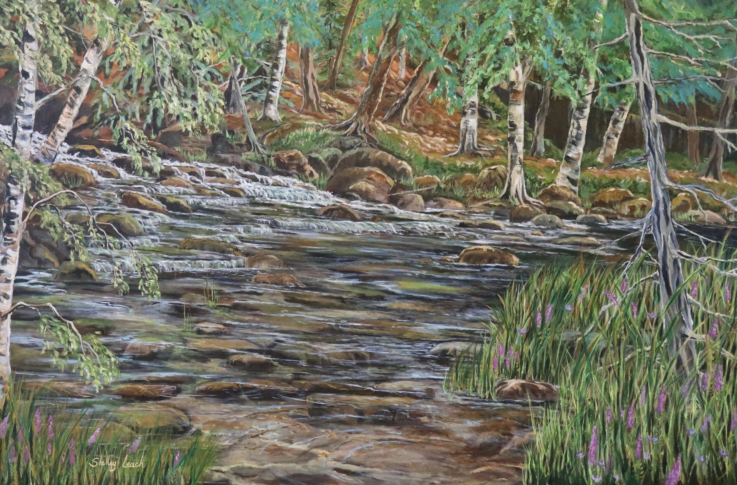 Canadian Landscape Artist Shelley Leach