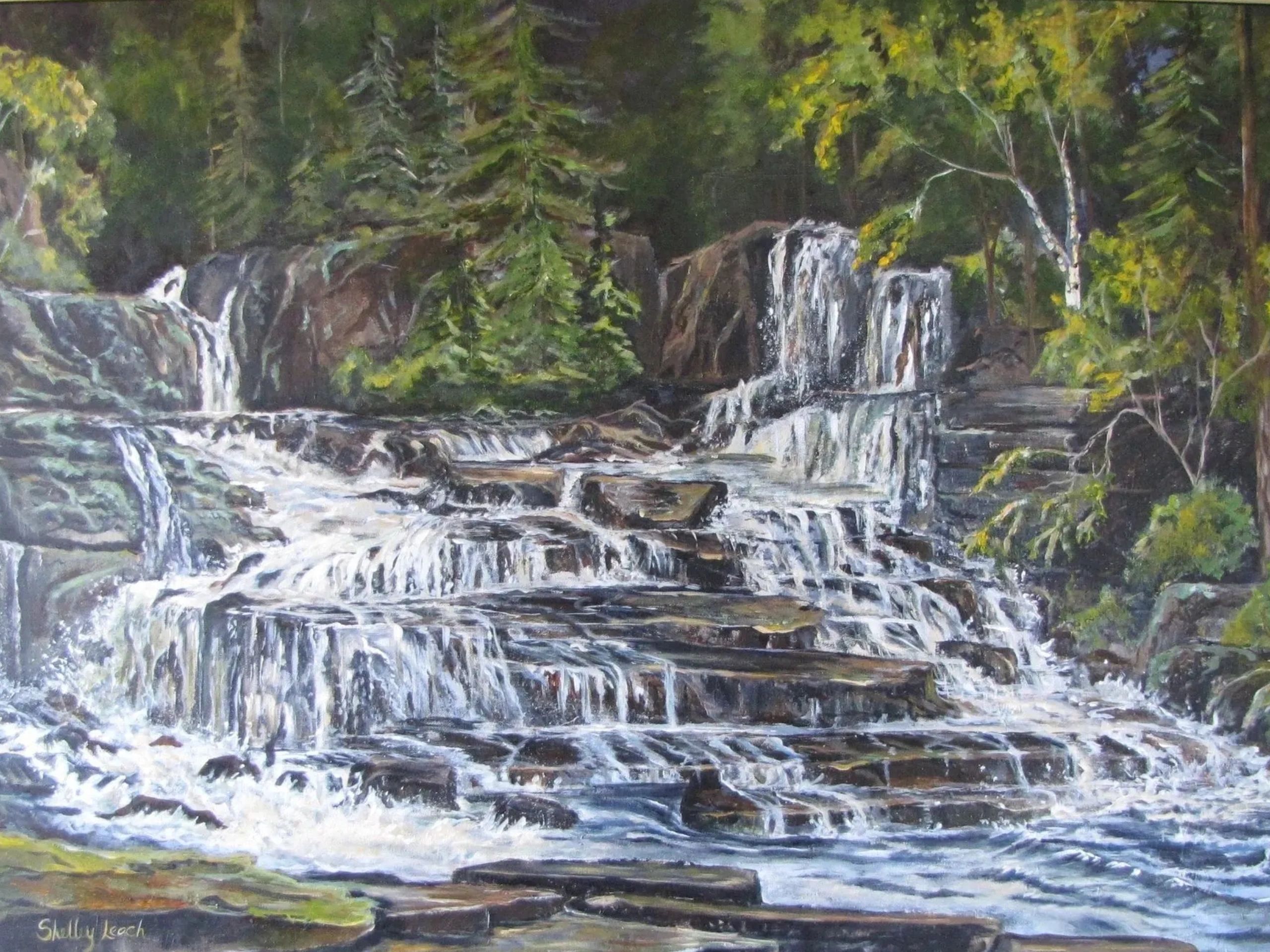 Canadian Landscape Artist Shelley Leach