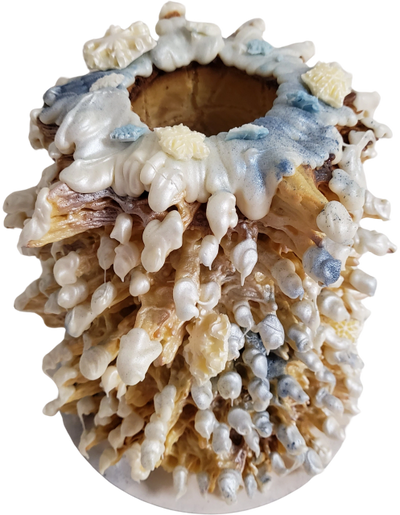 Festive Tree Cake Bakery - Bakery, Tree Cakes