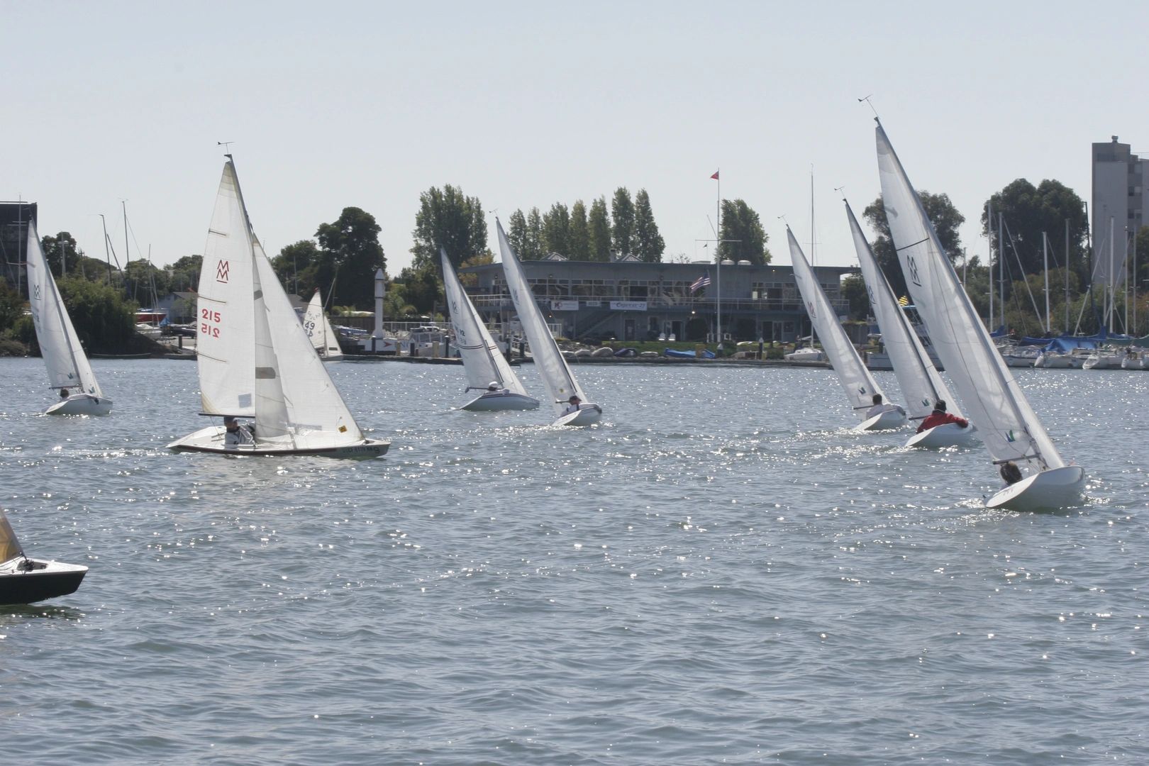 Affordable racers that are suited to short cruises and heavy weather ...