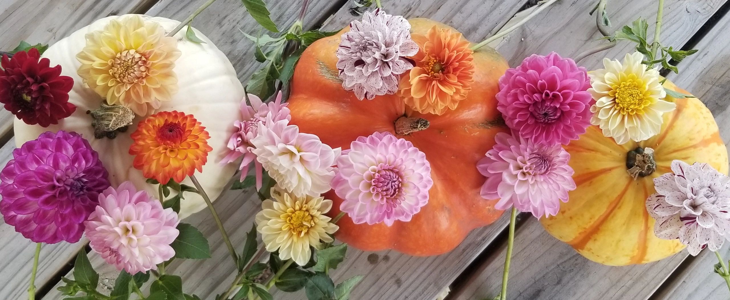 Red Barn Flower Farm