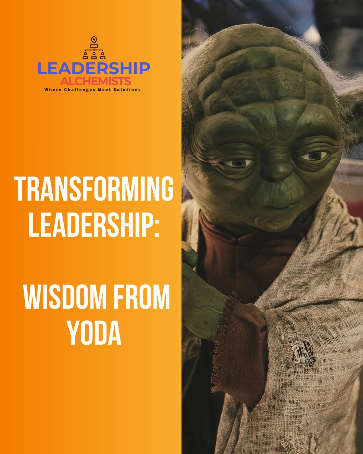 Leadership Wisdom with Yoda: Navigating Workplace Dynamics