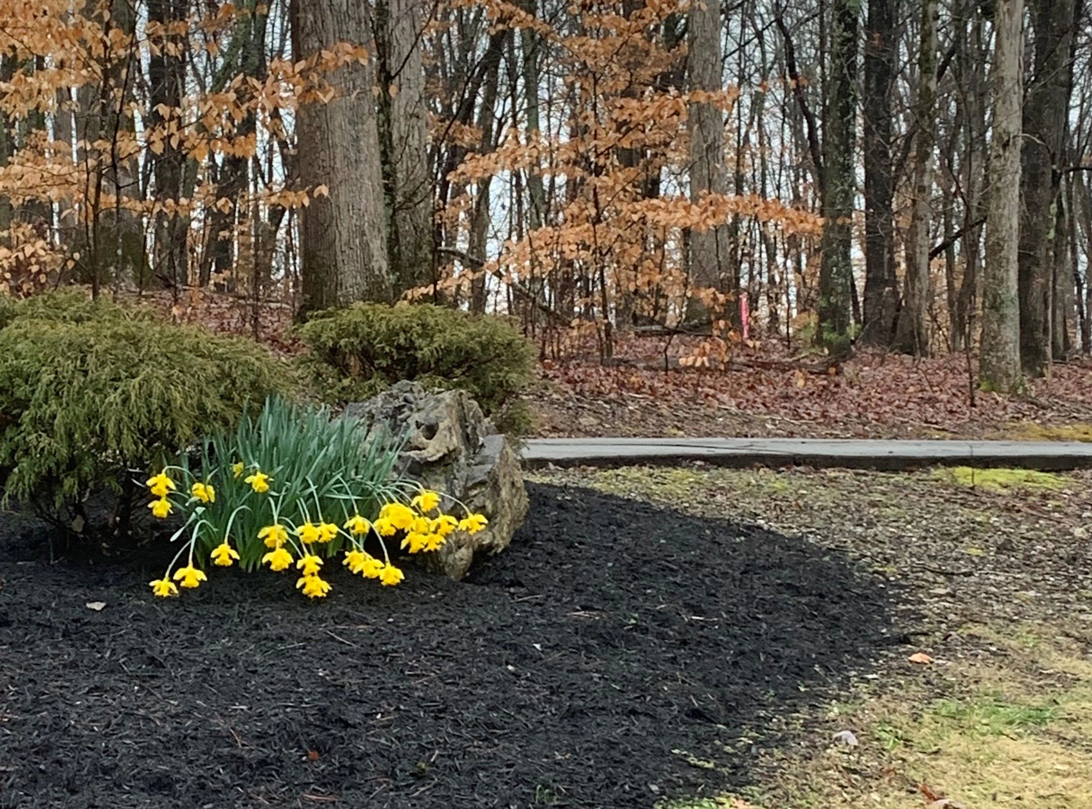 C.R.Daniels Inc - Dandux, ReadyVote, Contract Manufacturing