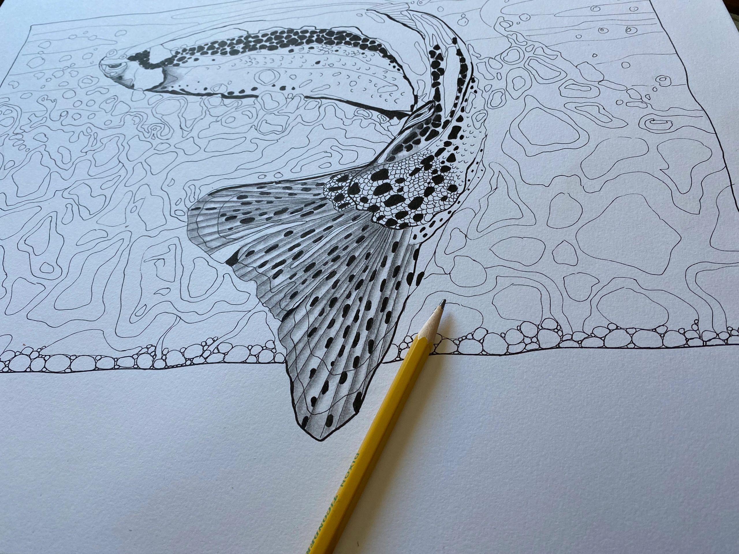 Blog: 9/13/2022 Tangle Turtle Art Blog