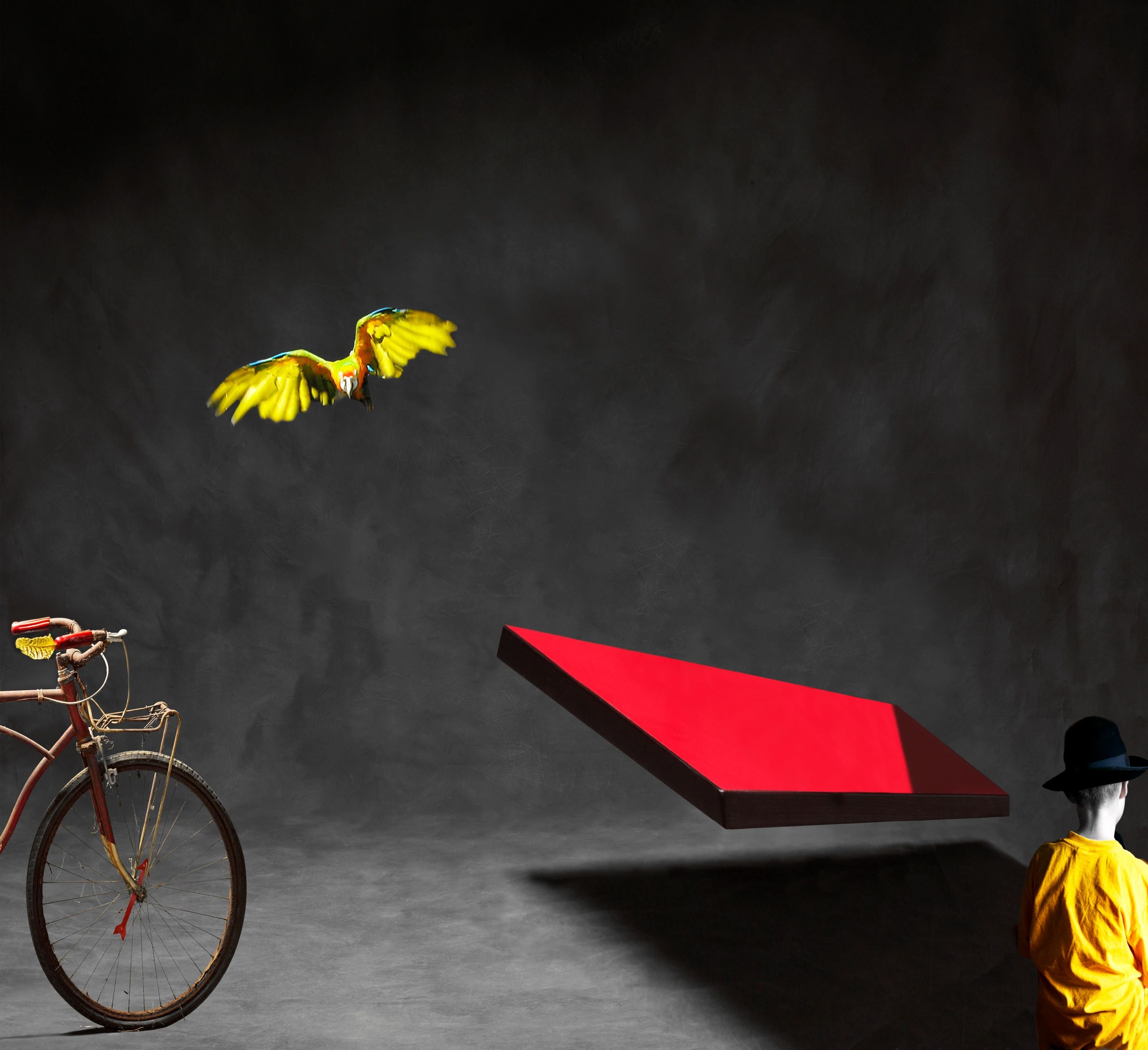 Perspective Image Photography