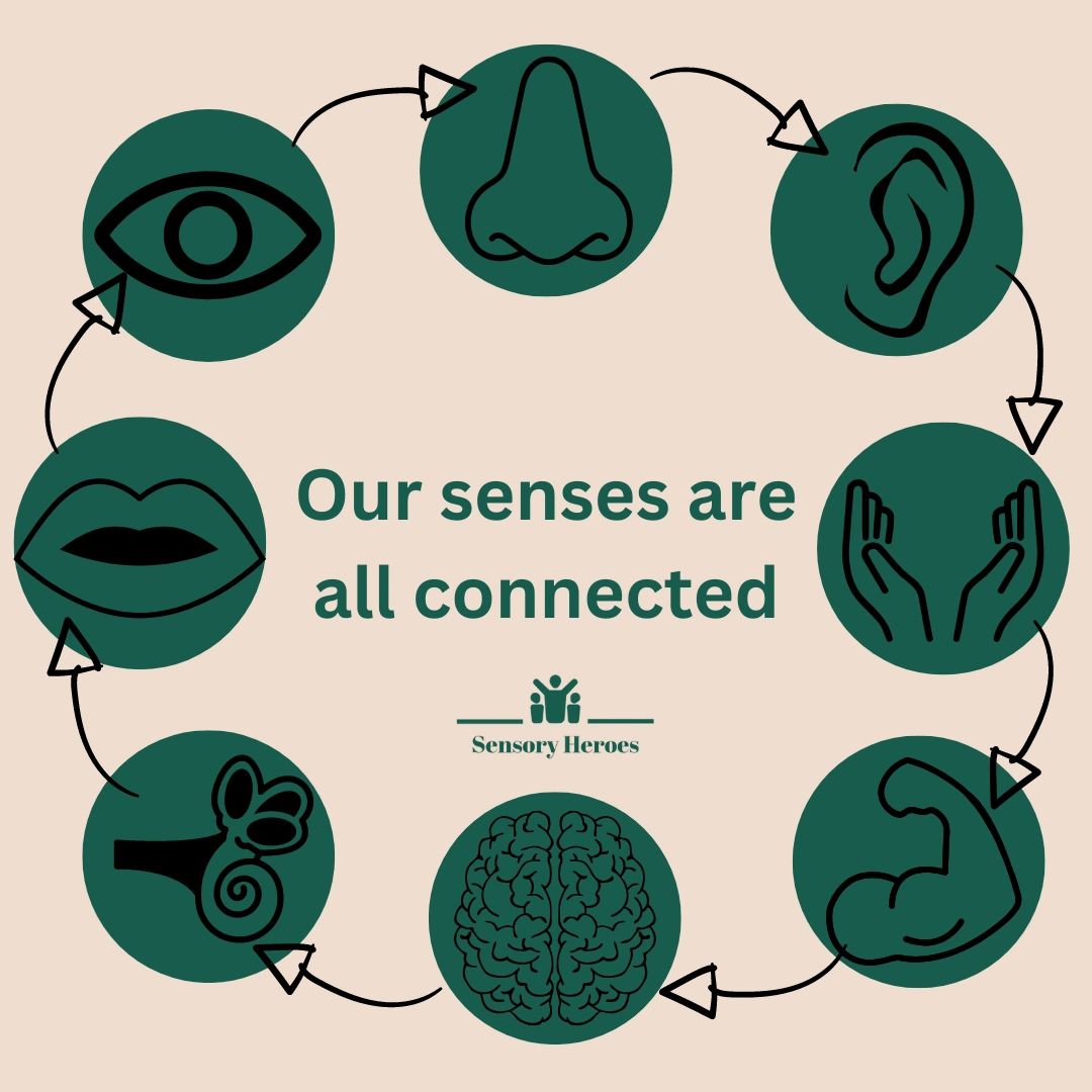 Paediatric Occupational Therapy | Sensory Integration Therapy | Sensory ...