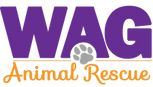 WAG Animal Rescue - Pet Adoption, Cats, Kittens, Dogs, Puppies