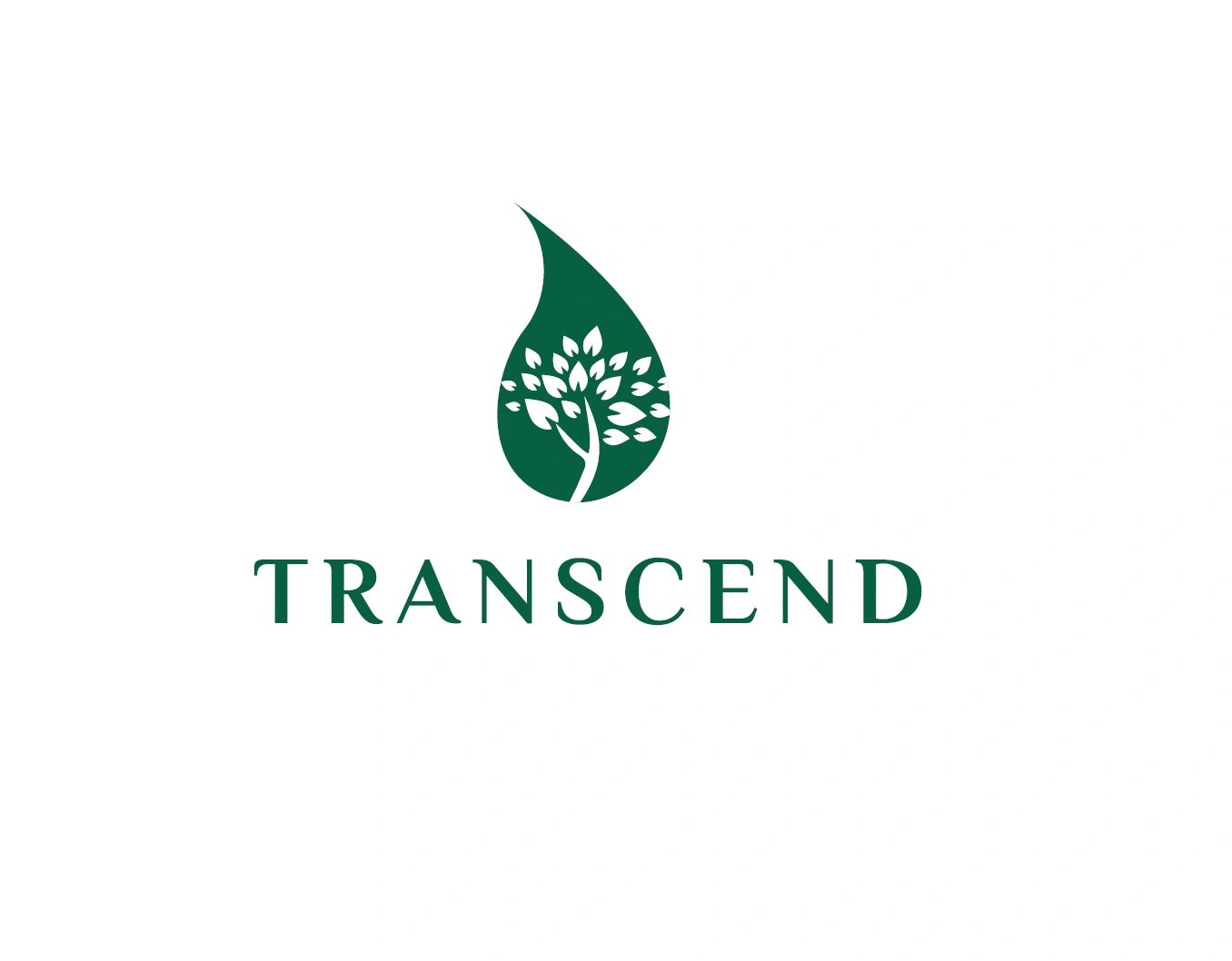 Transcend Partners LLC
