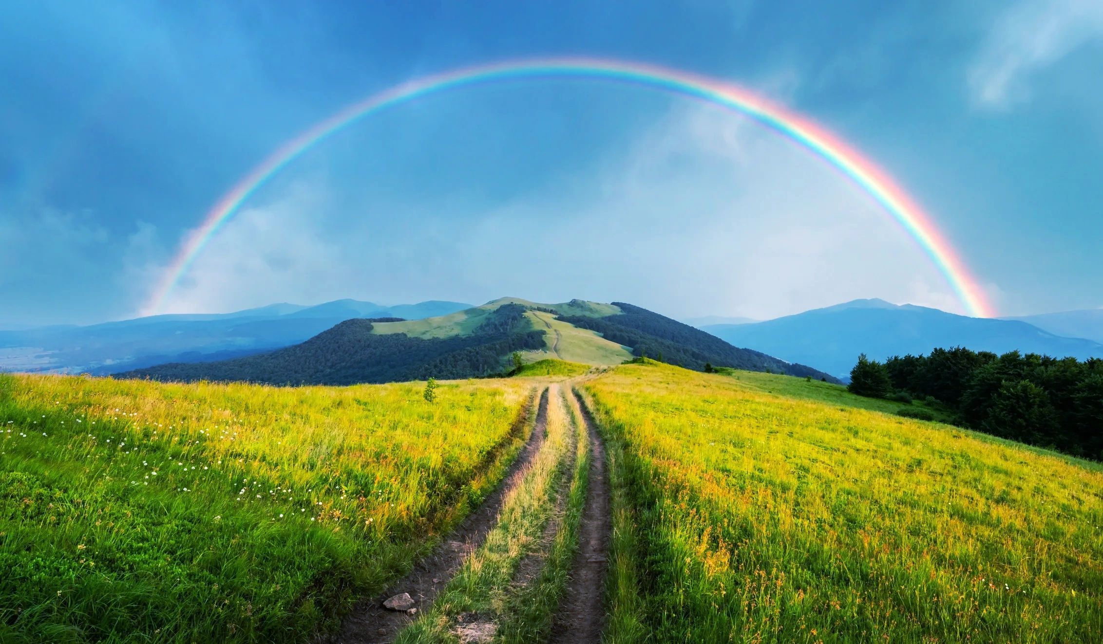 Under the Rainbow Therapy, PLLC