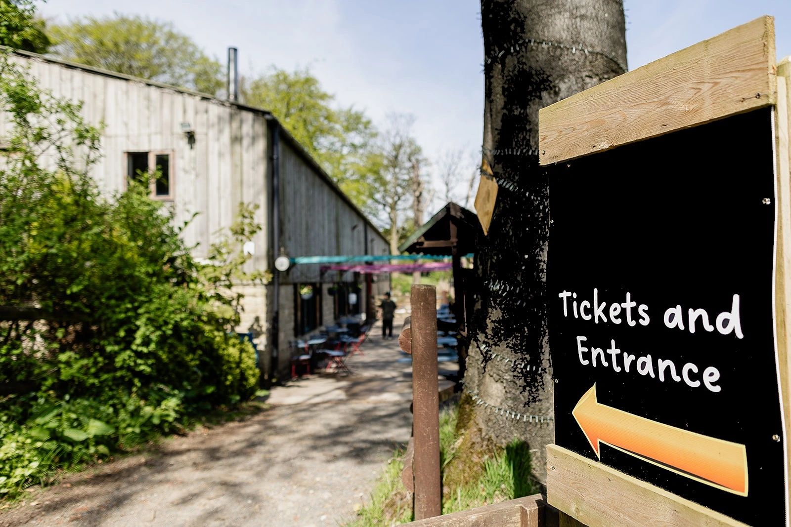 Visit Mayfield Alpaca Farm, Ringinglow