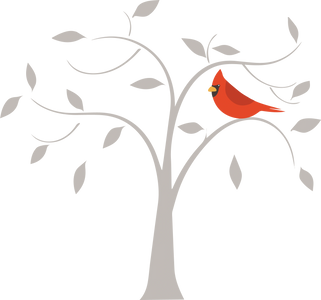 Cardinal Tissue - Toilet Paper, Manufacturing