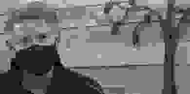 Cardinal Tissue - Toilet Paper, Manufacturing