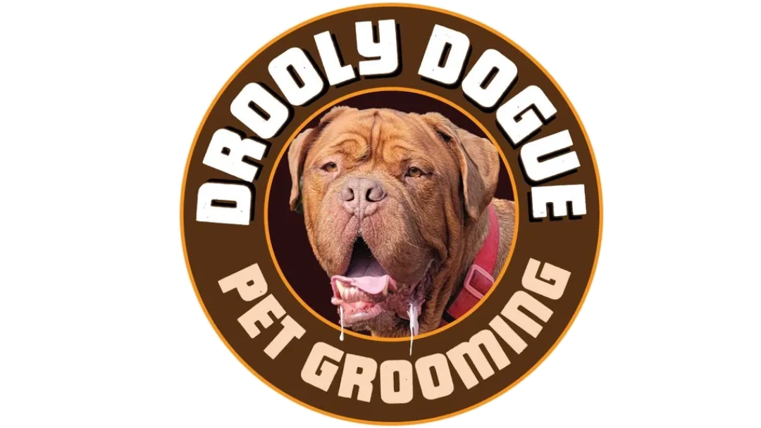 Drooly Dogue Pet Grooming - Custom Hair Cuts, Pet Groomer, Hair Cuts ...