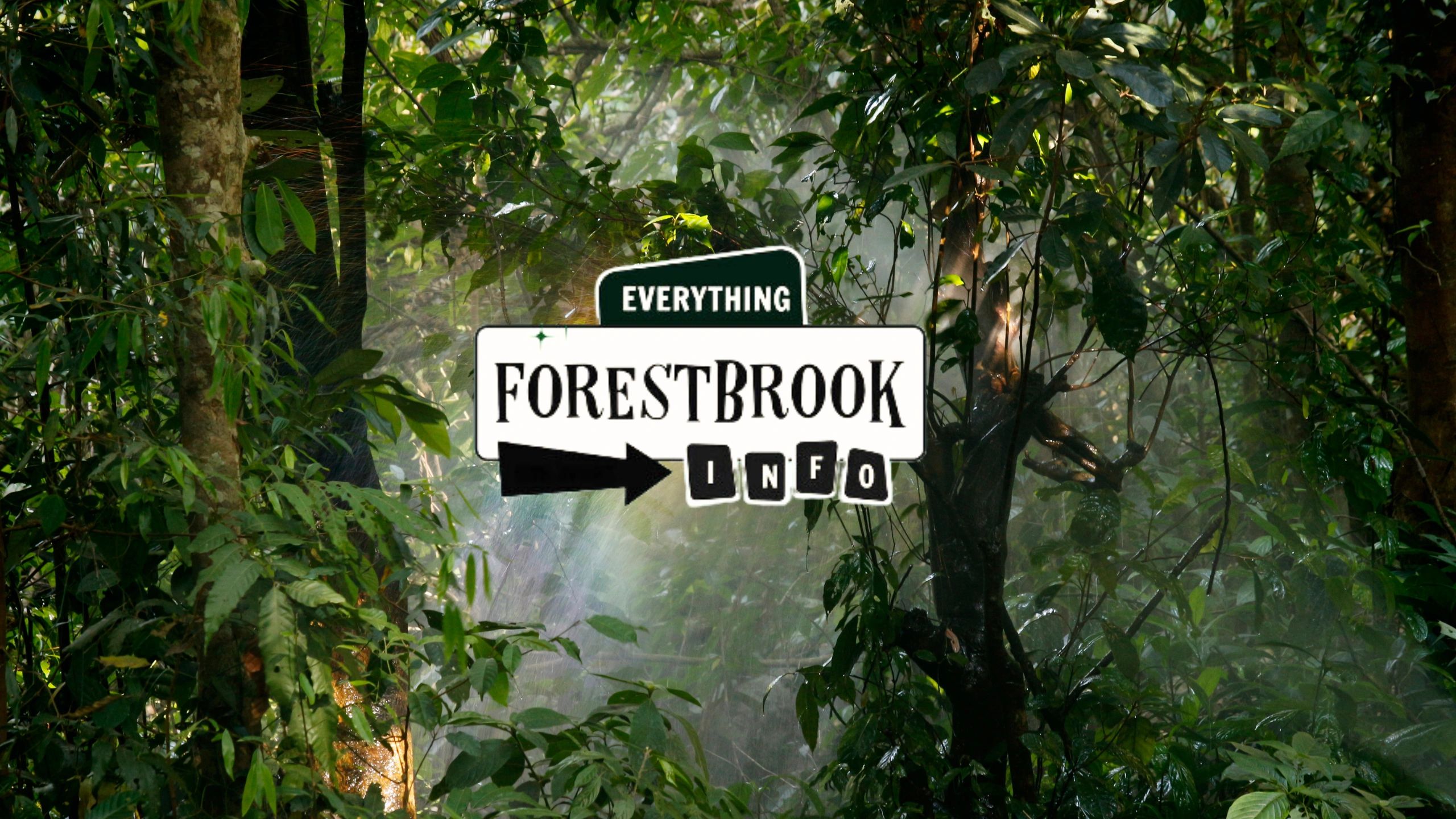 Forestbrook Real Estate