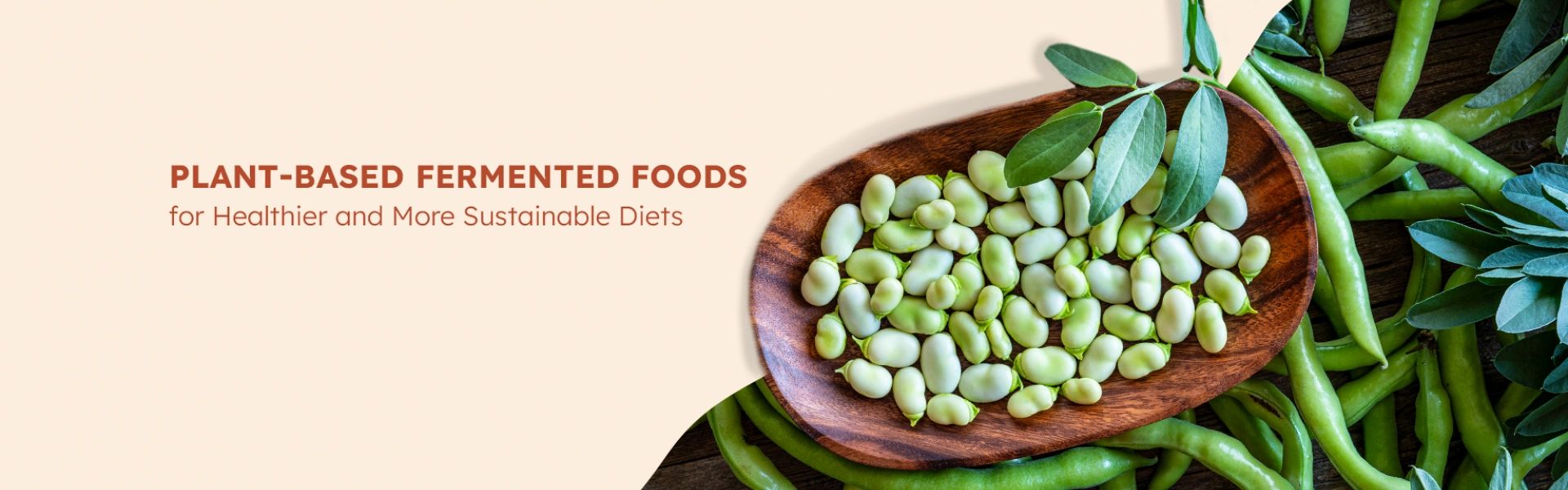 Deciphering how grain fermentation shapes the sensomics profile