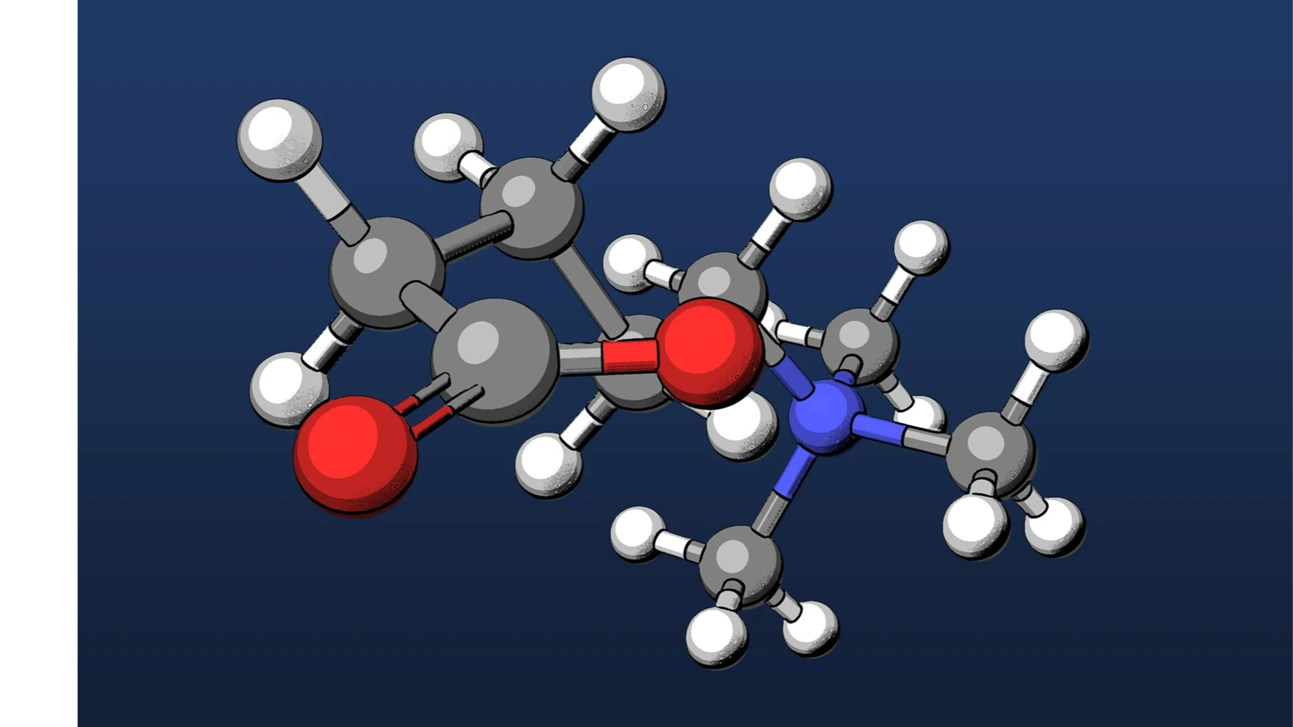 Team | Hanhineva lab