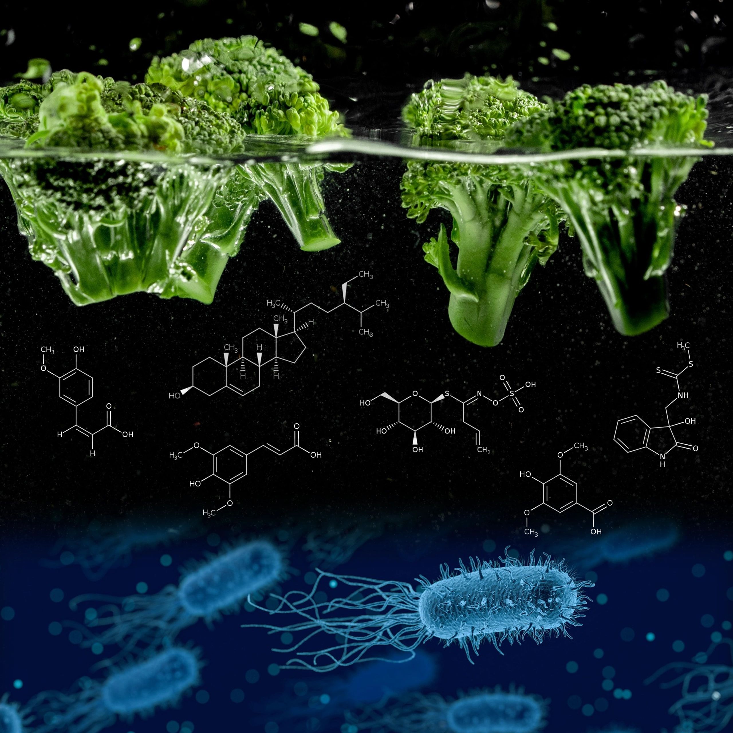 Team | Hanhineva lab