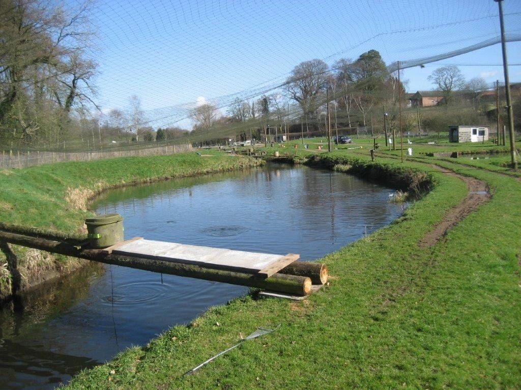 Sustainable Trout Farming: The Basics