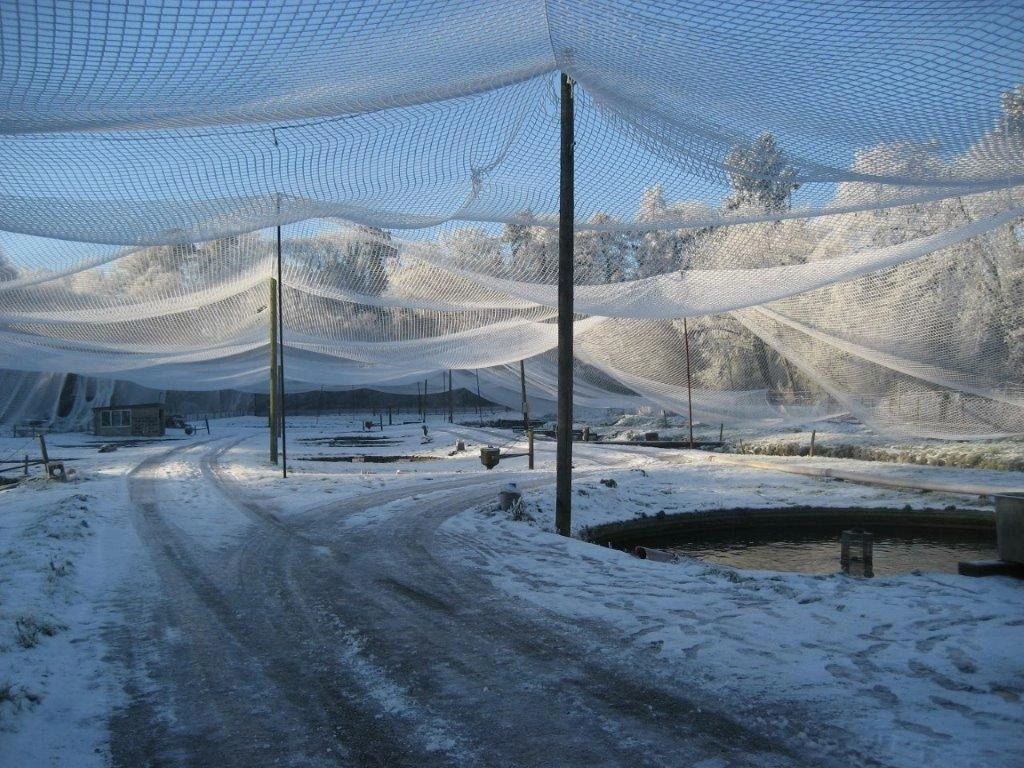 Tern Farm Fishery
