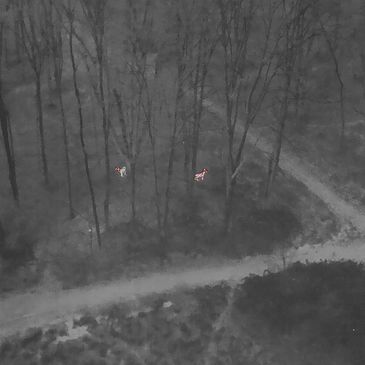 Deer, Thermal Imaging - On Target Drones - New Franklin, Ohio