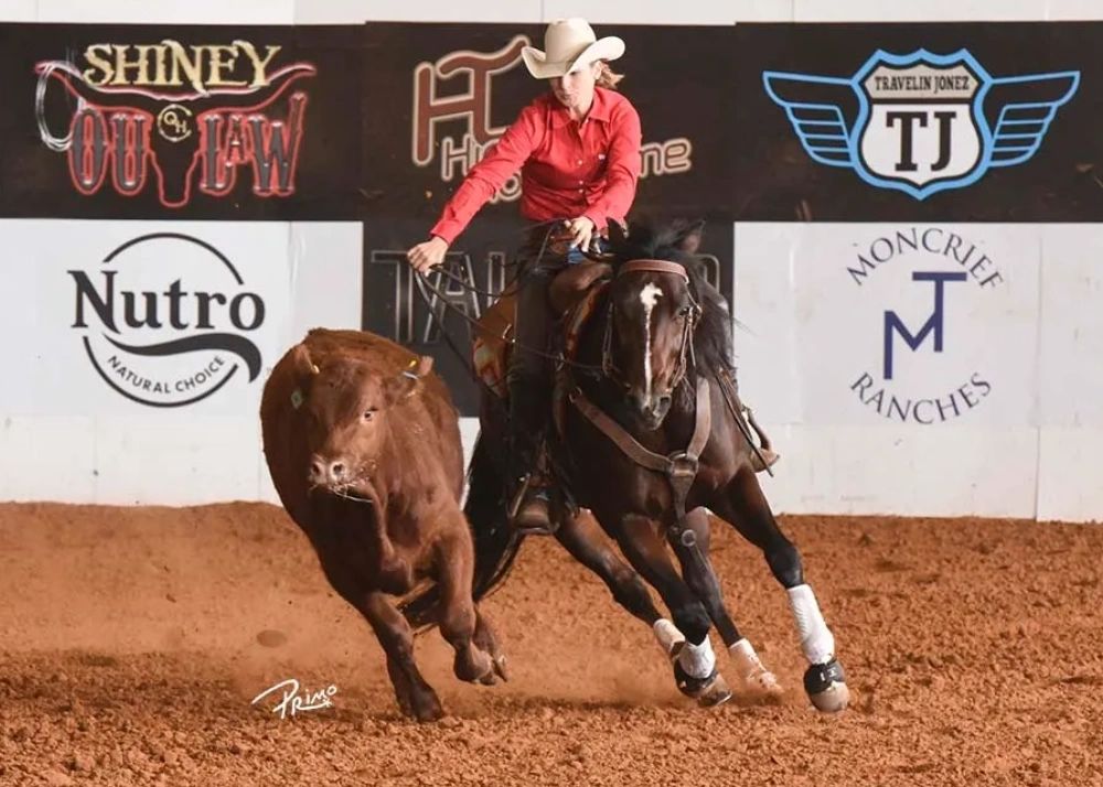 Parnell Performance Horses