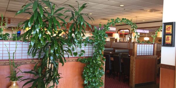Kumo Japanese Seafood Buffet | Order Online | All You Can Eat | Parma ...