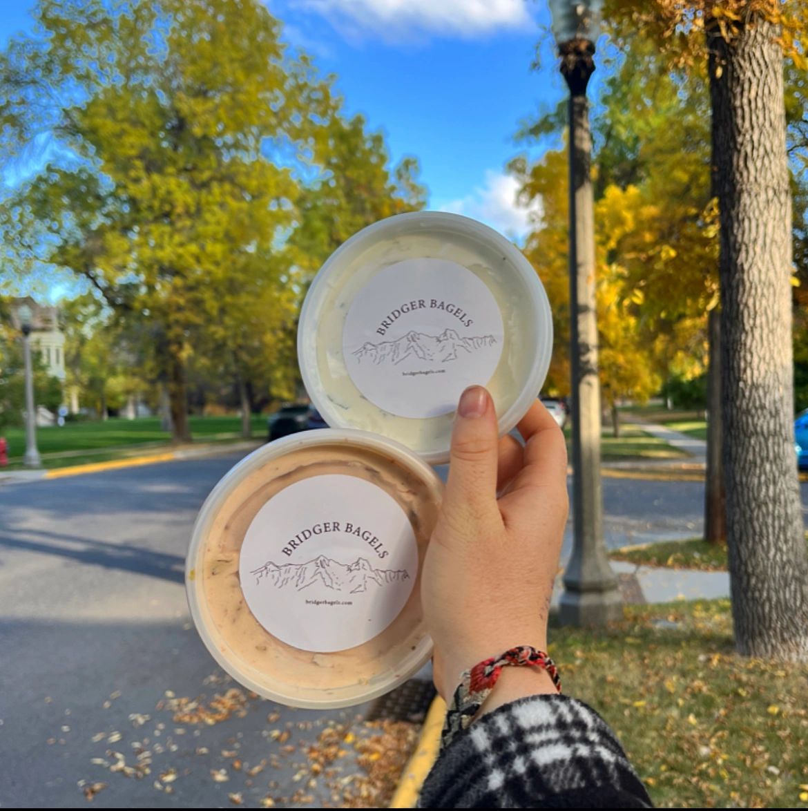 Premium Cream Cheese - 8 oz Tub