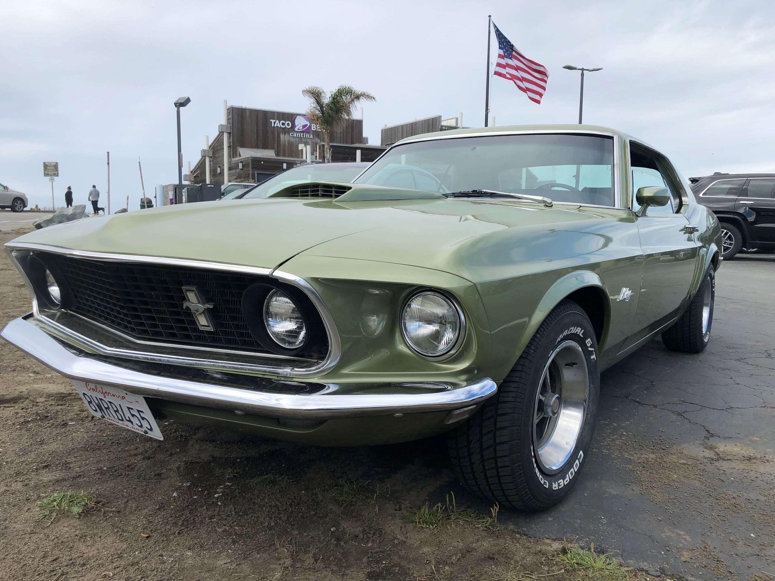 Mustang Rescue