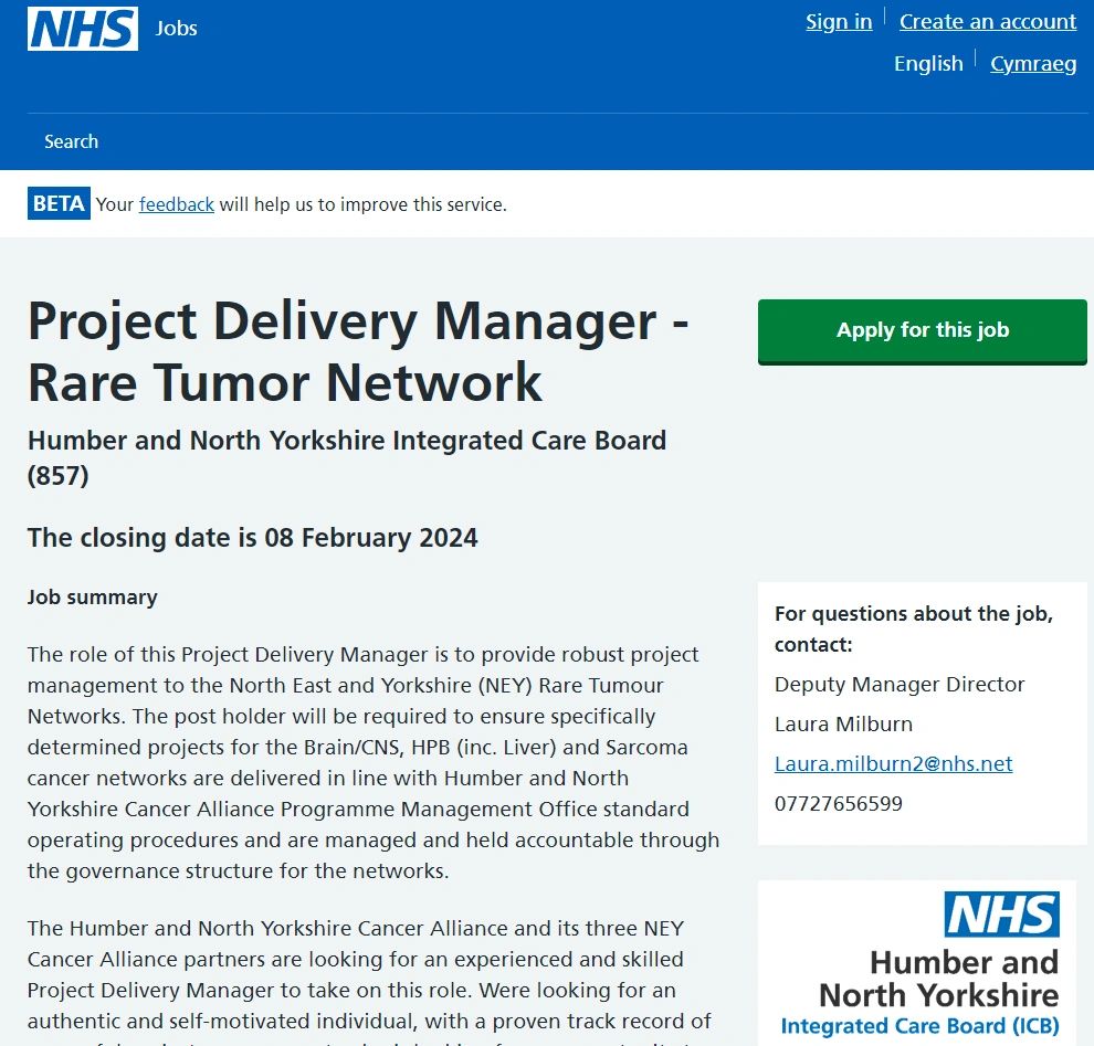 PROJECT DELIVERY MANAGER