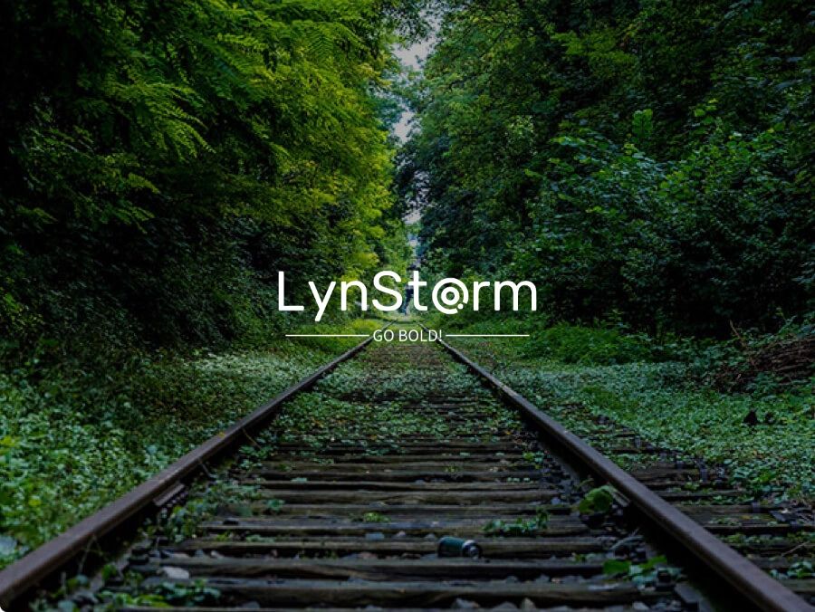 LynStorm LLC