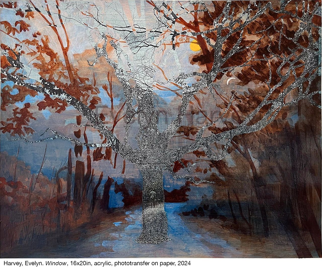 Contact | evelynleeharvey.com