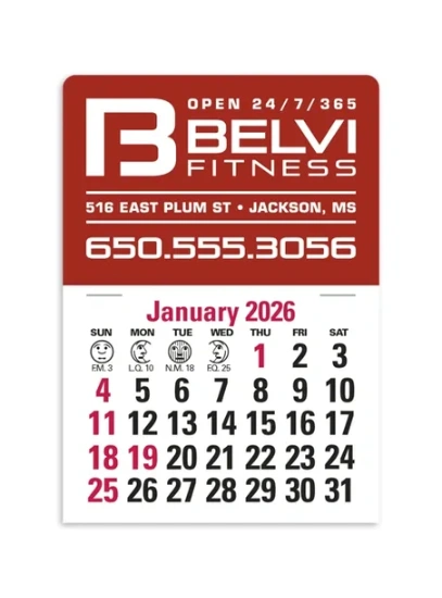 Triumph® Calendars Press-N-Stick Standard Calendar 2026 | V7870