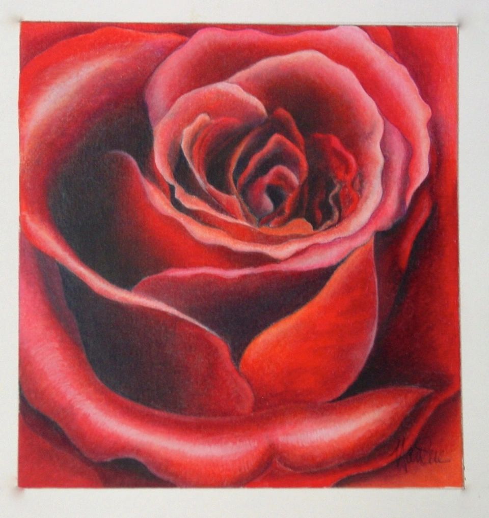 Nancy Nielsen Unfortunately Nancy Wardle (Nielsen) Lost Her Battle