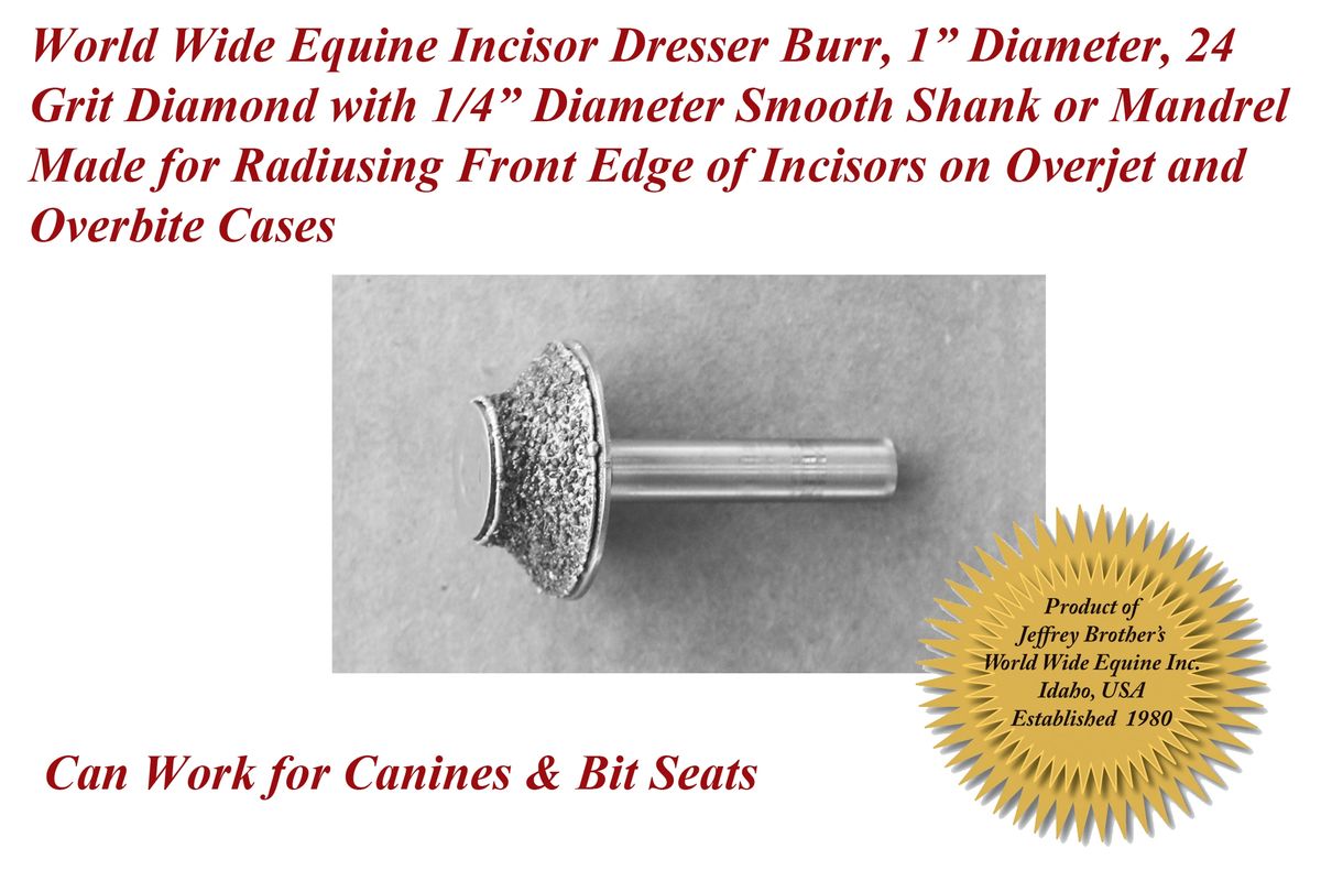 Incisor Dresser Burr, 1" Diameter, 24 Grit Diamond with 1/4" Smooth Mandrel