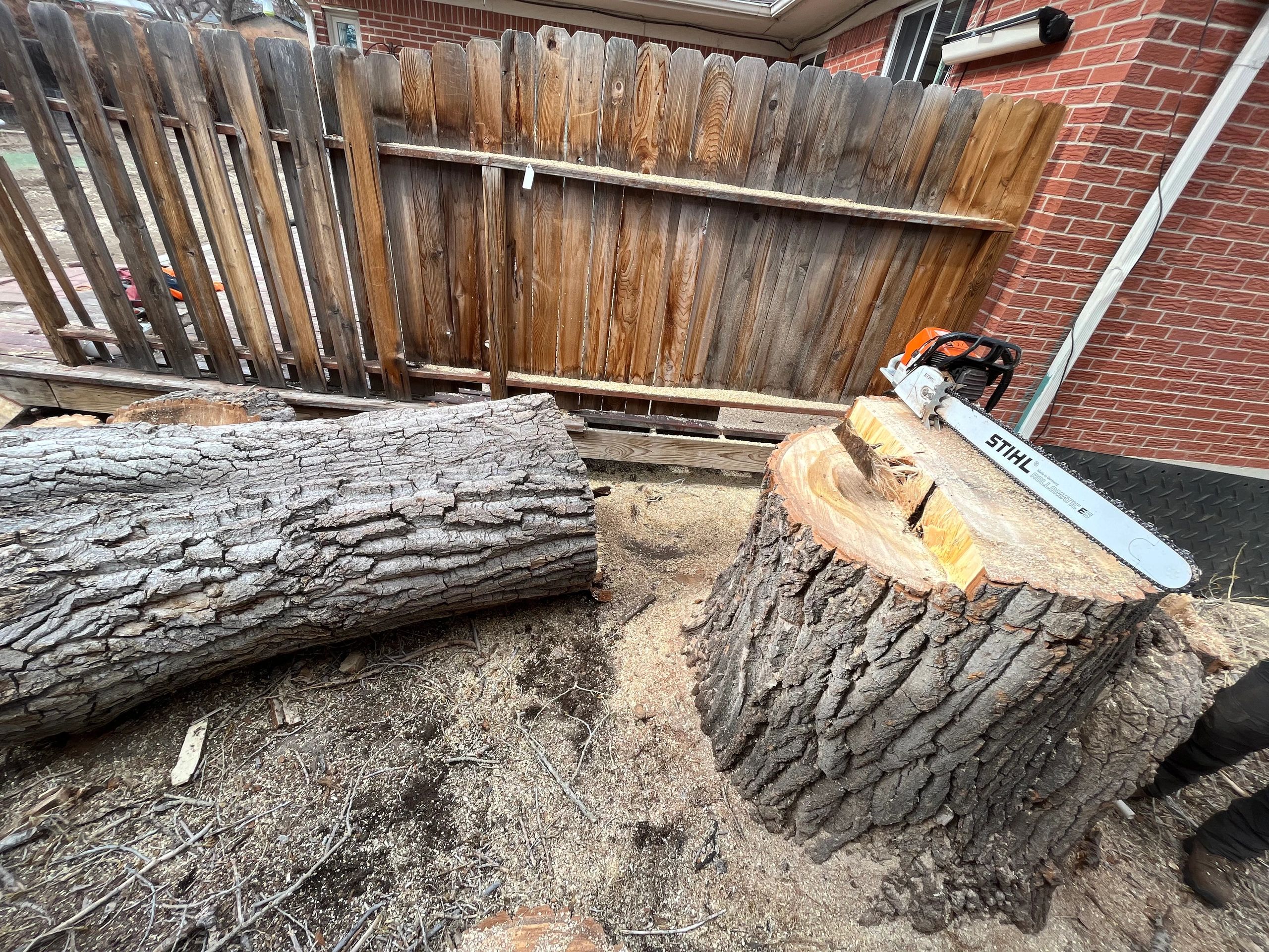 TREE SERVICE