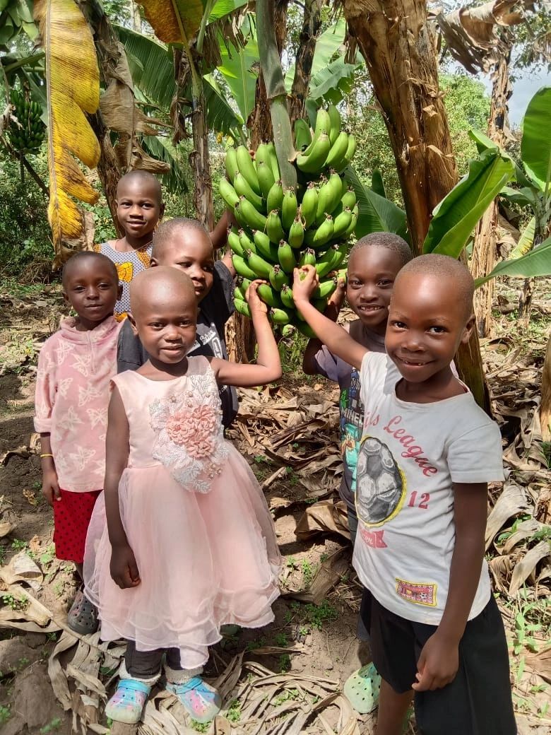 Mercy And Caring Children's Homes