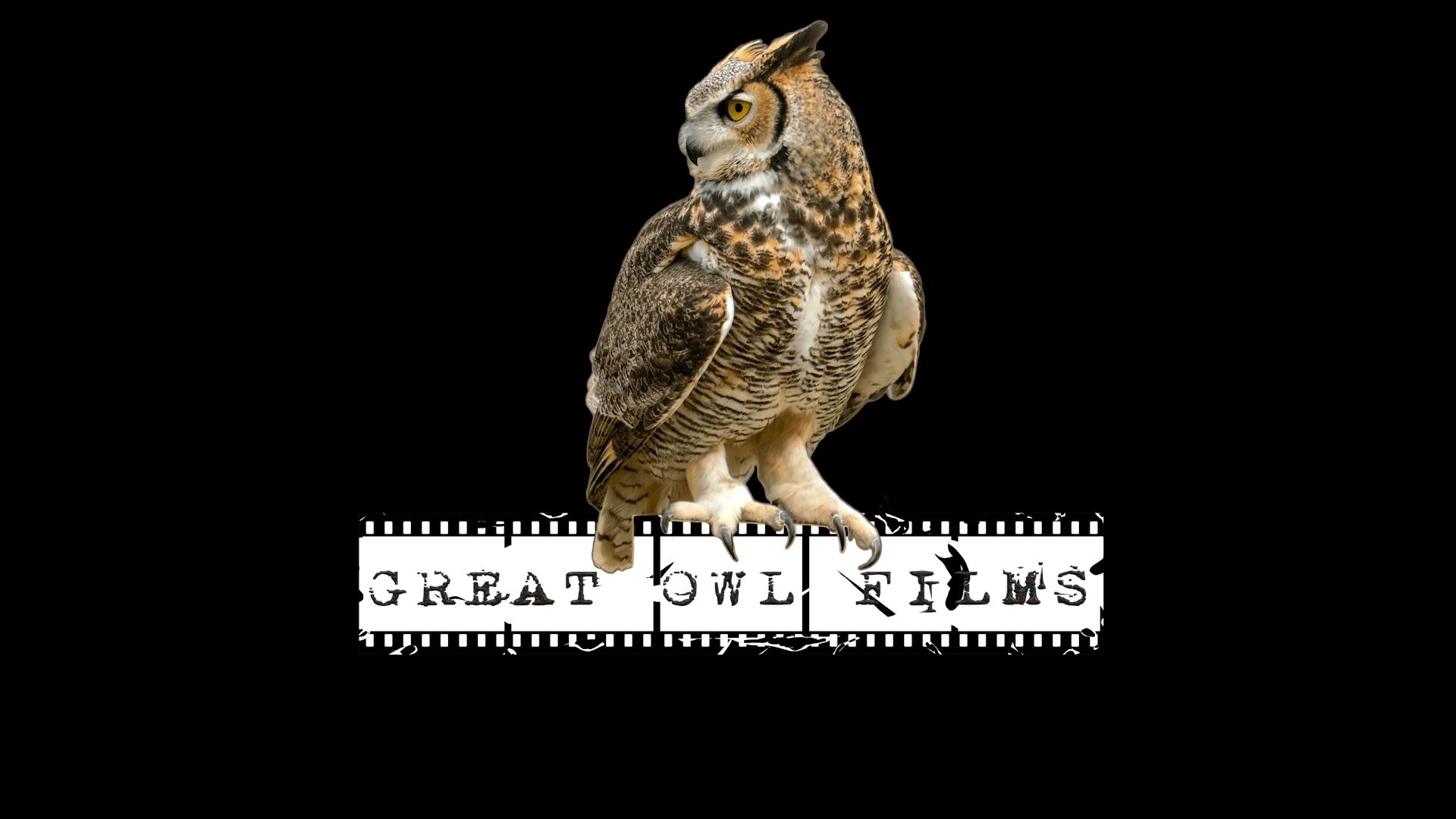Entertainment Film Industry - Great Owl Films
