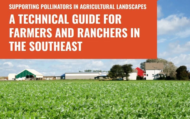 New Pro-Pollinator Technical Guide for Farmers & Ranchers