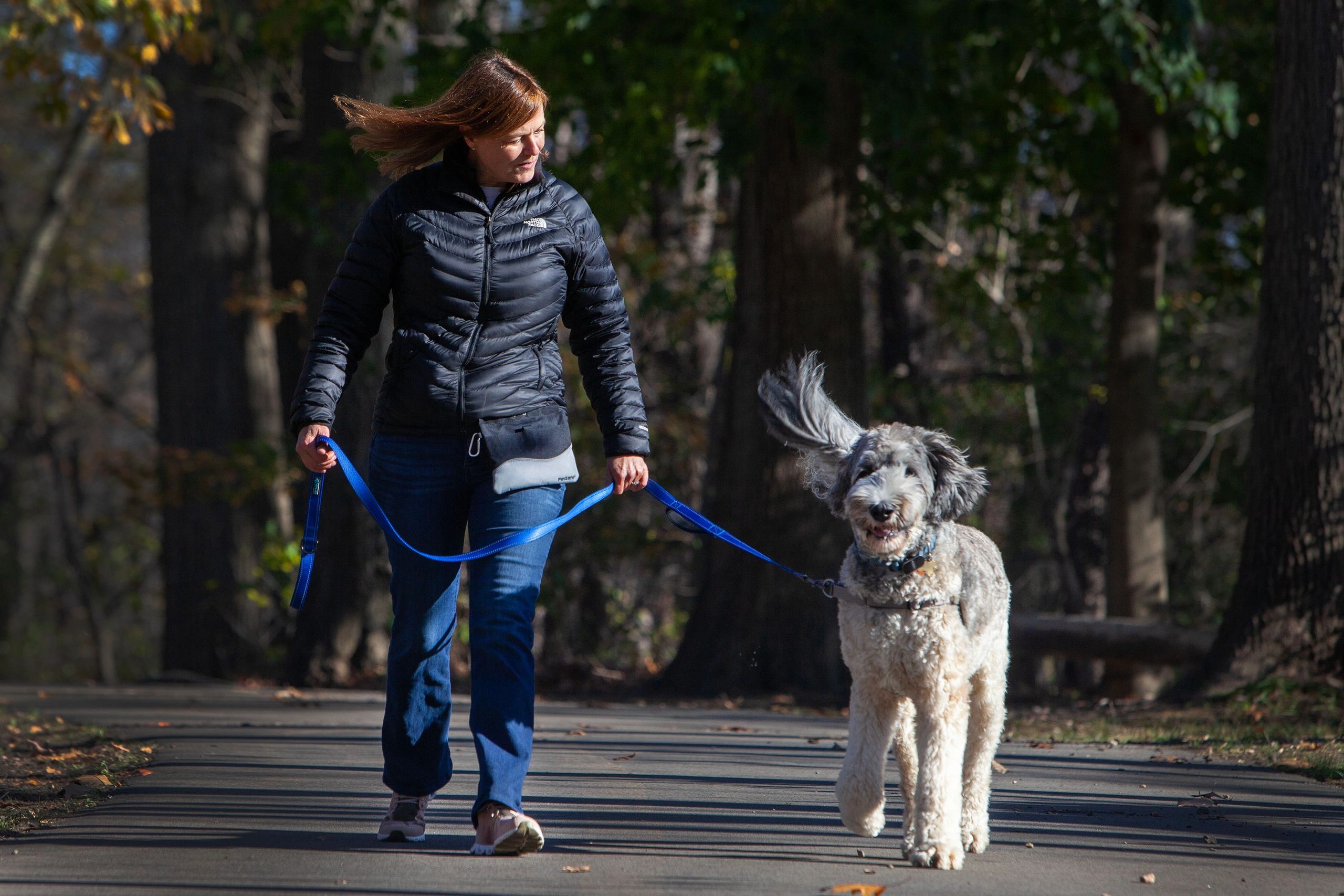 Right Start Dog Training