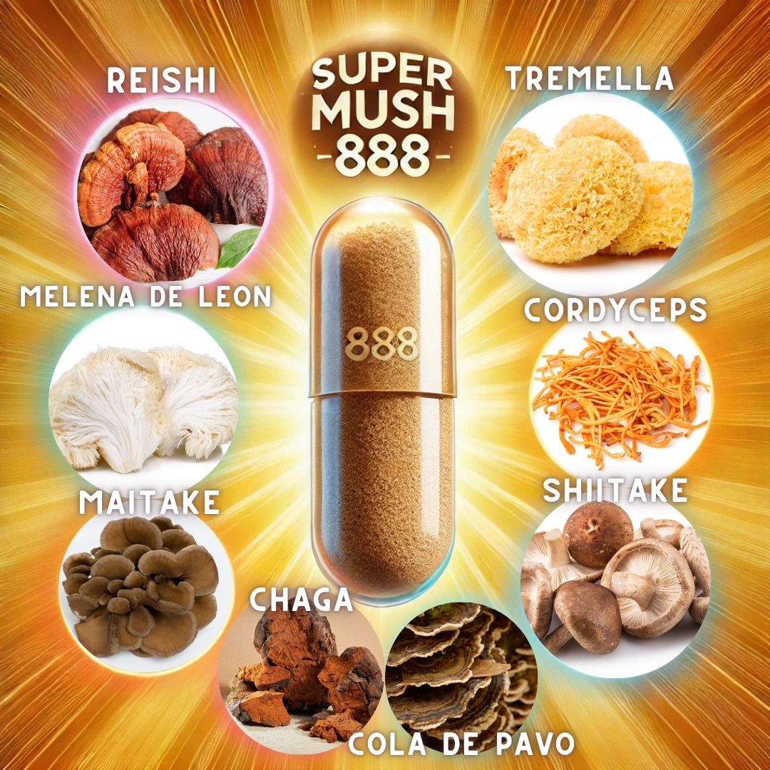 SUPER MUSH 888: El todo-en-uno de 8 hongos funcionales para ti!