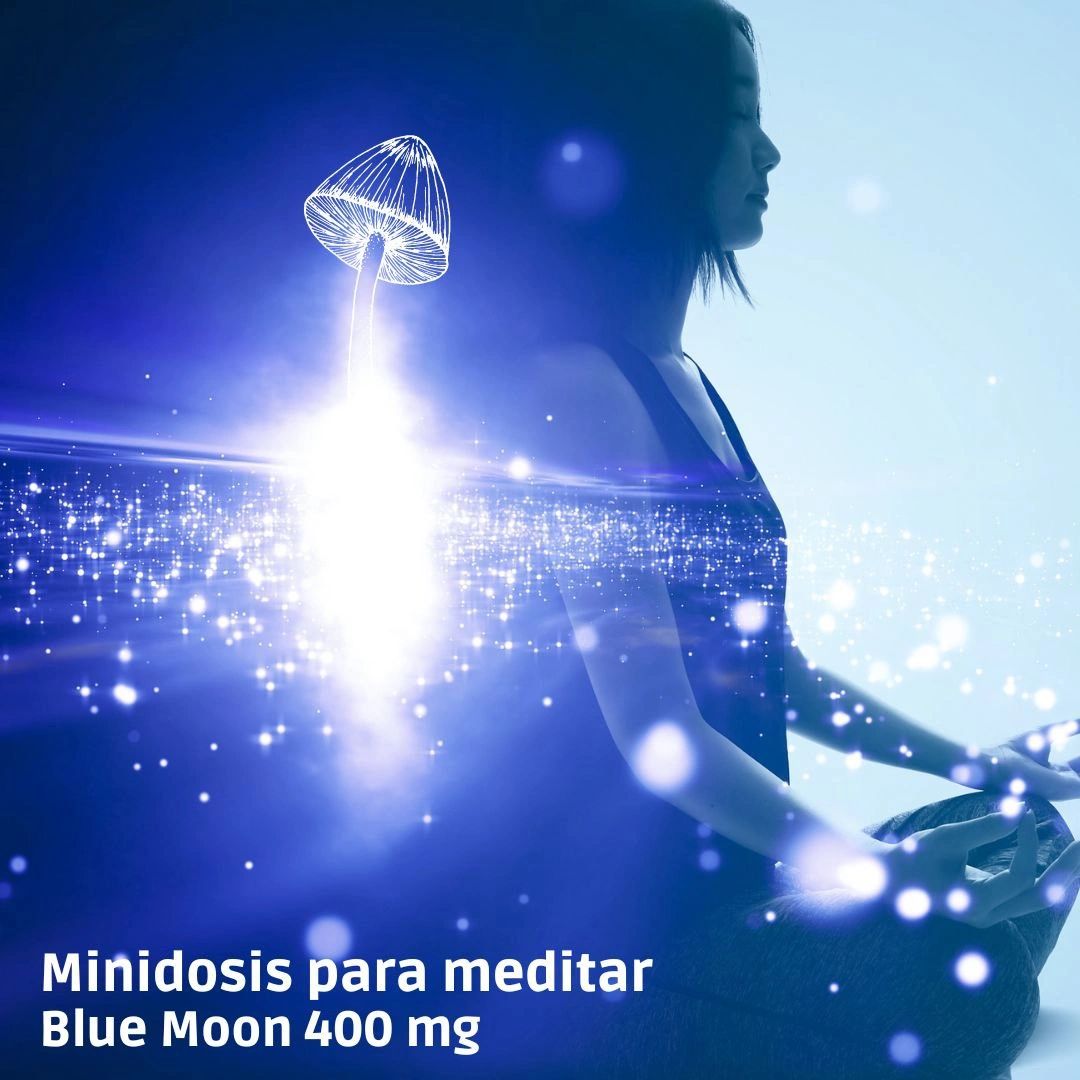 PROMO Mini dosis Blue Moon x 24 capsulas