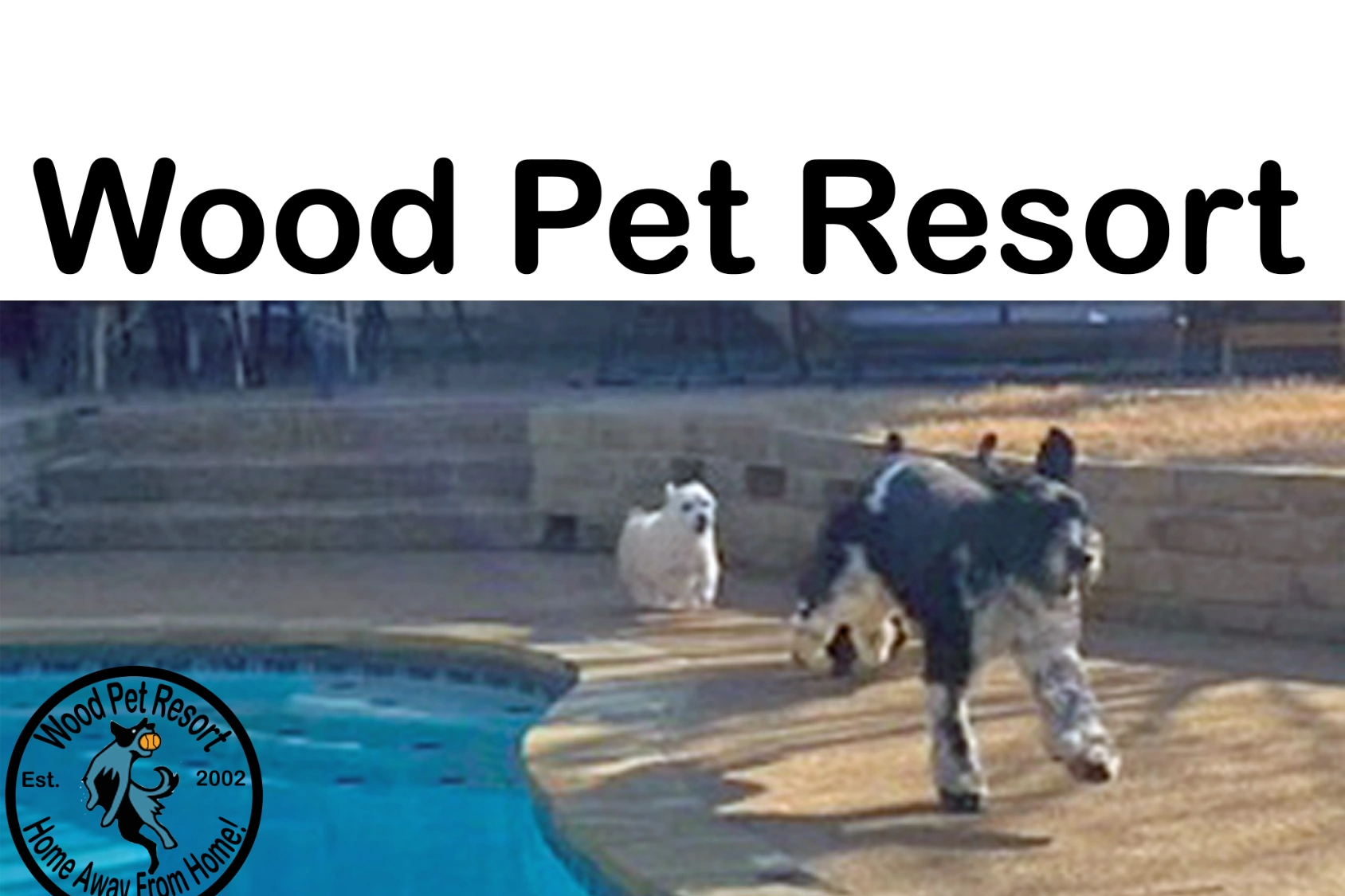 Wood Pet Resort