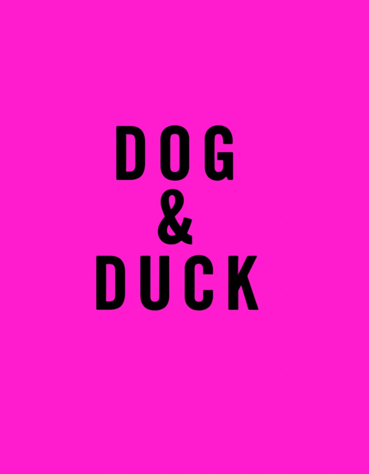 Dog and Duck
