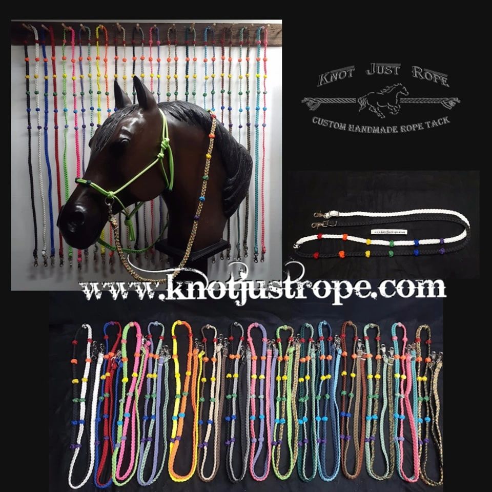 Left Right Braided Rainbow Lesson Training Reins 6 Strand Flat Loop
